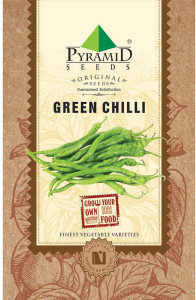 Pyramid Green Chilli, Chili pepper Seed Price in India - Buy Pyramid ...