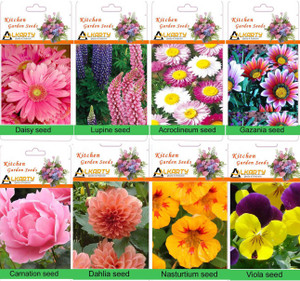 Alkarty Daisy ,Lupine flower,Acrolinium,gazania ,Carnation,dahlia ...