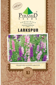 Pyramid Seeds Flower Seed Price in India - Buy Pyramid Seeds Flower ...