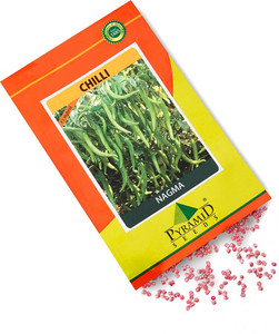 Pyramid Seeds Chilli Seed Price in India - Buy Pyramid Seeds Chilli ...