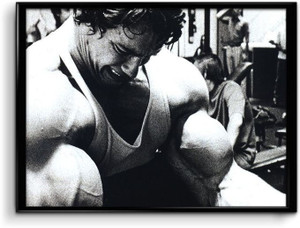 Arnold Arm Curls Paper Print - Humor, Movies, Comics posters in India ...