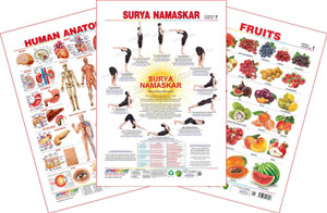 Set of 3 Educational Wall Charts (Human Anatomy, Surya Namaskar ...