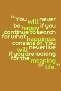 Posterhouzz Meaning Of Life Poster Photographic Paper - Quotes ...