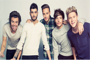 One Direction Band Poster Paper Print - Music posters in India - Buy ...