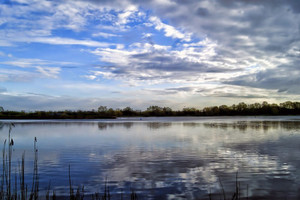 Frailest Leaves Photographic Paper - Children posters in India - Buy ...