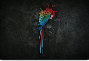 The Colorful Parrot Paper Print - Nature posters in India - Buy art ...
