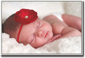 Baby with red rose on head Fine Art Print - Children posters in India ...