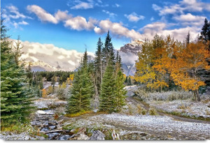 Beautiful Winter Climate Nature Paper Print - Nature posters in India ...