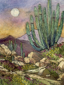 Ajo Sentinel Fine Art Print - Anna Balentine posters - Nature posters ...