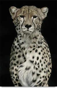 Cheetah Paper Print - Animals posters in India - Buy art, film, design ...