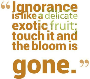 Posterhouzz Ignorance Poster Fine Art Print - Quotes & Motivation ...