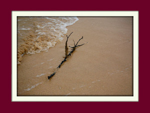 Washed Ashore Paper Print - Decorative posters in India - Buy art, film ...