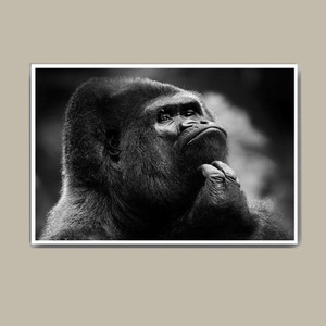 Chimp Epic Wall Hang Fine Art Print - Abstract posters in India - Buy ...