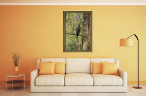 Changeable Hawk Eagle - Wooden Frame Paper Print - Nature posters in ...