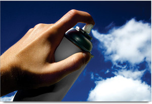 Amy Forced Perspective Photography 3D Poster - Nature posters in India ...