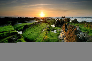 Amazing Earth A3 HD POSTER ART PSI10578 Photographic Paper - Nature ...