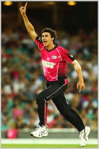 Mitchell Starc Australian Cricketer Player Poster Paper Print - Sports ...