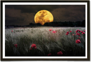 Framed Moon on Earth Paper Print - Nature posters in India - Buy art ...