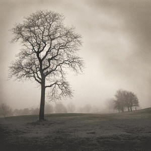 In Just Spring Fine Art Print - Richard Calvo posters - Nature posters ...