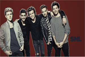One Direction Band Poster Paper Print - Music posters in India - Buy ...