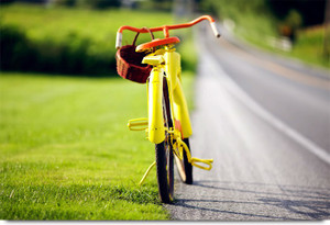 Yellow Cycle on Street Paper Print - Vehicles posters in India - Buy ...
