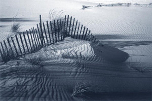 Wind Twist Fine Art Print - Richard Calvo posters - Art & Paintings ...