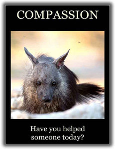 Motivational Poster - COMPASSION 0198 Poster Photographic Paper ...