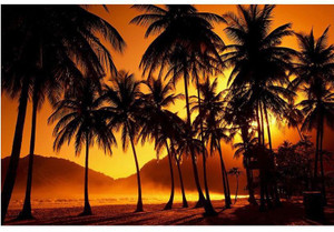 Poster. Nature poster Collection of beautiful nature landscapes ...