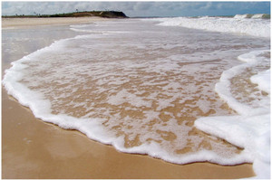 Tides The Beach Paper Print - Nature posters in India - Buy art, film ...