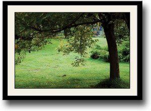 Green Tree Fine Art Print - Nature posters in India - Buy art, film ...