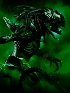 AVPR - Aliens vs Predator Paper Print - Movies posters in India - Buy ...