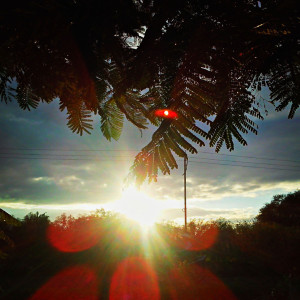 Rising Sun Paper Print - Decorative posters in India - Buy art, film ...