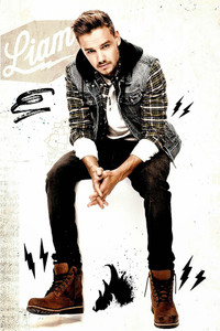 One Direction - Liam Photographic Paper - Music posters in India - Buy ...