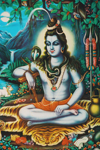 Shiva Posters - Lord Shiva Posters Paper Print - Religious posters in ...