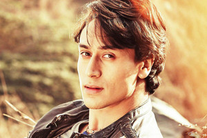 Wall1ders Tiger Shrof Face Close Up Paper Print - Movies posters in ...