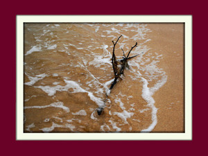 Washed Ashore Paper Print - Decorative posters in India - Buy art, film ...