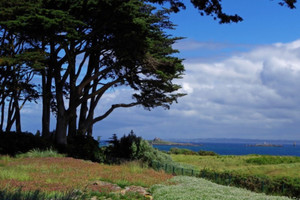 EurekaDesigns Poster Senses Of My Body Paper Print - Places posters in ...