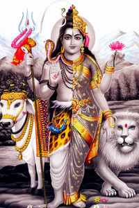 Shiva Posters - Lord Shiva Posters Paper Print - Religious posters in ...