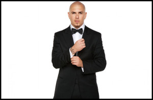 Pitbull Singer Poster Paper Print - Music posters in India - Buy art ...