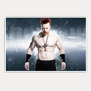 WWE Star Sheamus (18x12) Paper Print - Abstract posters in India - Buy ...