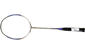 ASHAWAY Nanotec 9850 Silver, Blue Unstrung Badminton Racquet - Buy ...