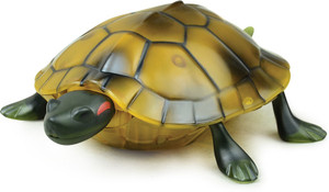 Innovation Infrared Rc Controlled Turtle / Tortoise - 360 ° Rotation ...
