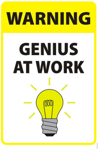 Genius At Work Poster Paper Print - Music posters in India - Buy art ...