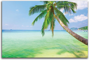 Artifa 40 cm Coconut tree on beach Wall/Door Sticker Self Adhesive ...