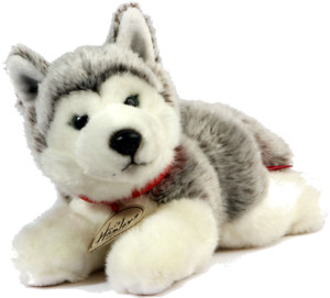 Hamleys Lying Husky - 19 inch - Lying Husky . Buy Husky toys in India ...