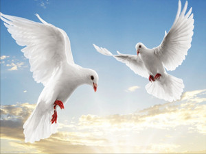 Swati Graphics Animals Black Wallpaper Price in India - Buy Swati ...