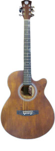 Techno TM-40 TCF Acoustic Guitar Linden Wood Rosewood Right Hand ...