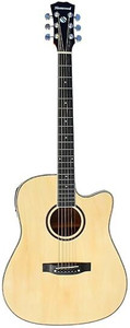 Neowood FLY-DCE-NA-Dreadnought Cutaway (Free Bag,Capo,String Set & 5pc ...