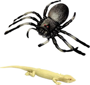 Tik C spider and lizard combo pack - spider and lizard combo pack . Buy ...