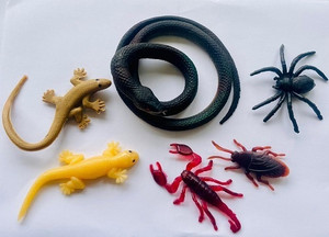 Tik C Rubber snake spider cockroach and lizard toys - Rubber snake ...